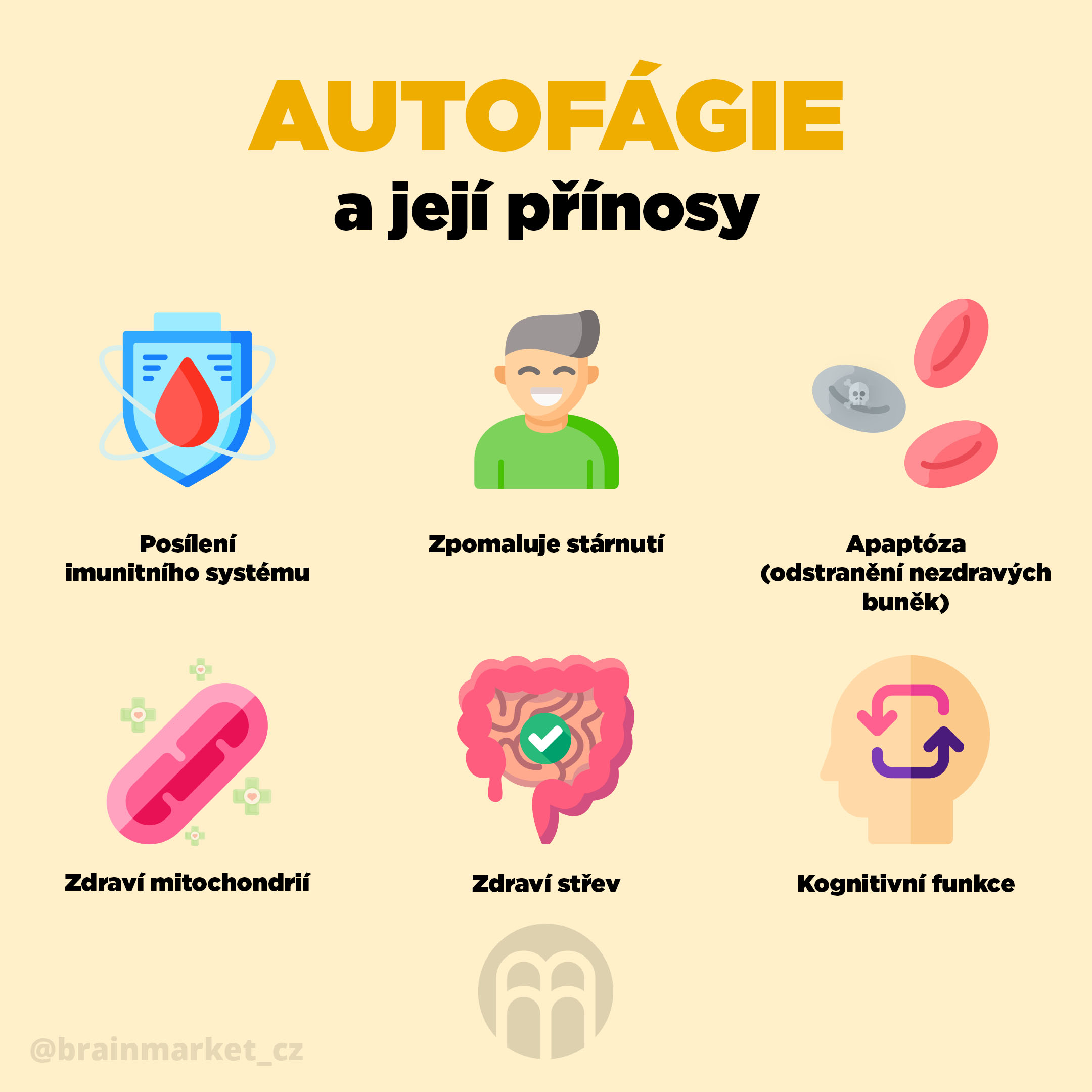 Autofágie neboli buněčná recyklace - 7 látek, které přispívají k ...