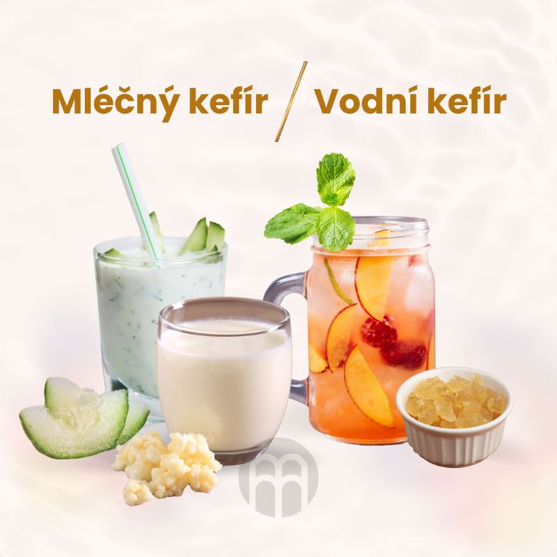 Mlečný a vodní kefír